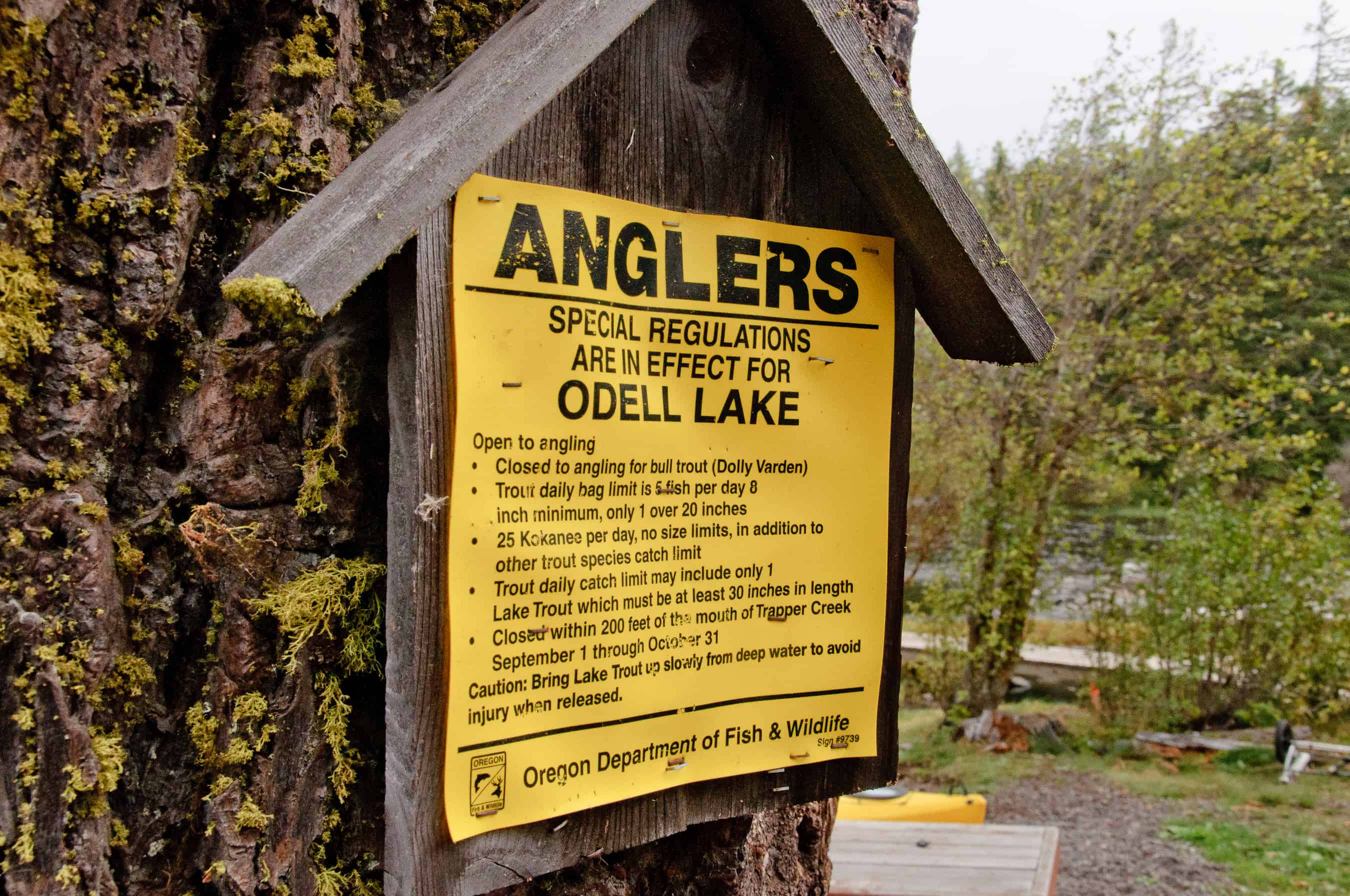Fishing Regulations - Odell Lake Lodge & Resort Oregon